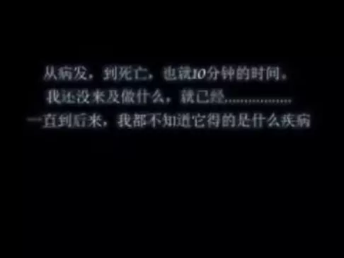 送给木木和皮皮