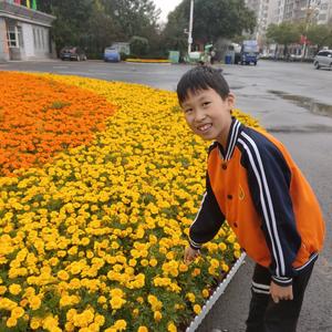 农村小路的日常 