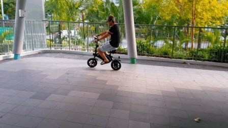 智能电动车大家见过吗?只卖2000多,能跑50公里