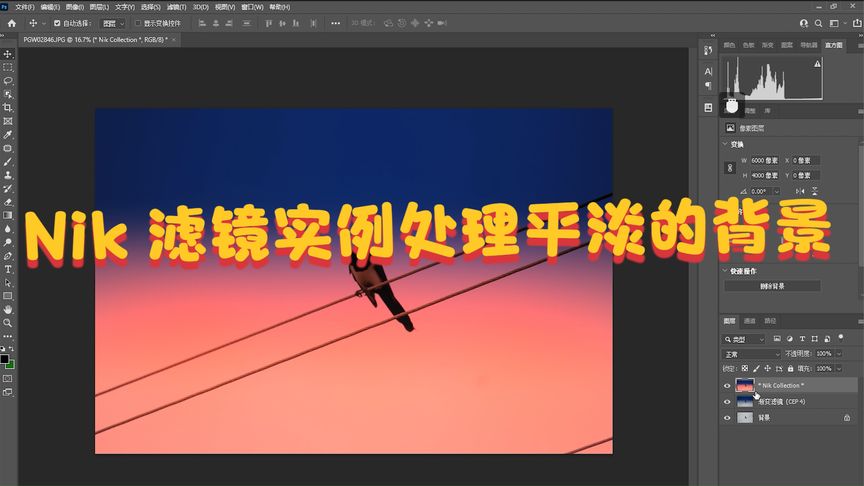 Nik Collection滤镜,实例处理平淡的背景,让你的照片拒绝平淡