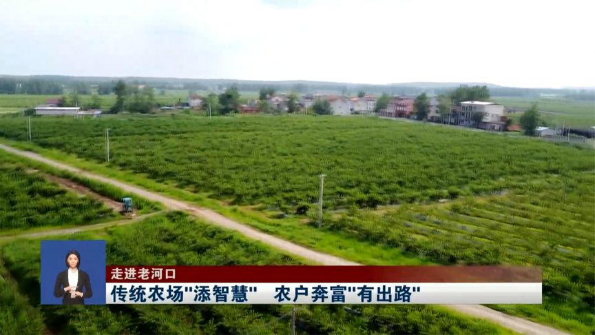 传统农场“添智慧” 农户奔富“有出路”