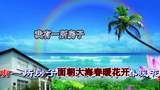 《面朝大海春暖花开》视频朗诵