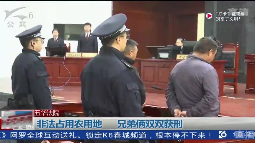 非法占用农用地 兄弟俩双双获刑