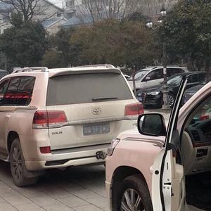 豁达的汽车爱好者 