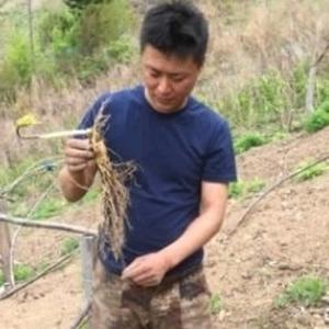长白山上的小辉 