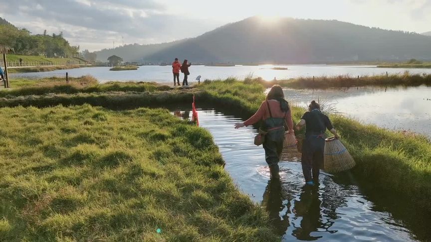 在火山堰塞湖捉鱼是一种什么样的体验?#腾冲