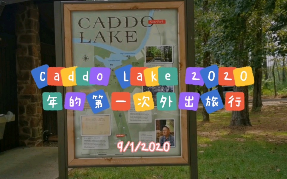 疫情年德州Caddo Lake State Park小长假旅行