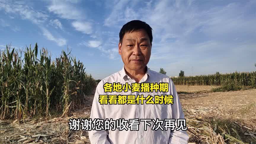 小麦什么时间播种最合适,这一个因素最重要,看看各地最佳播种期