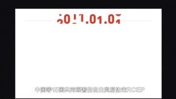 元旦生效!RCEP将这样影响你的生活