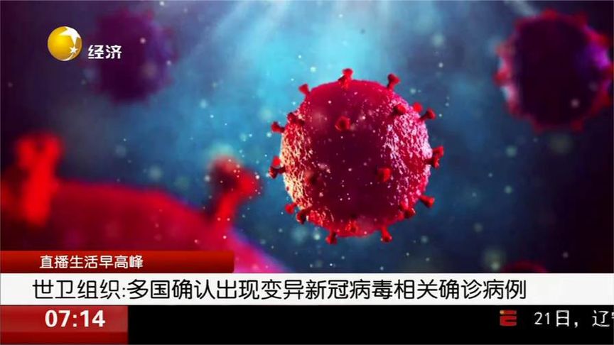 世卫组织:多国确认出现变异新冠病毒相关确诊病例