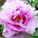 青春与活力⛹ߏ 