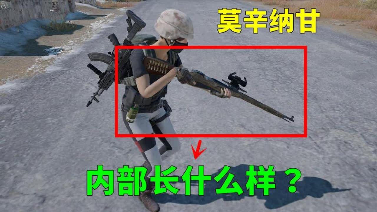 吃鸡:莫辛纳甘内部是什么样子?透视进去,发现模型太粗糙