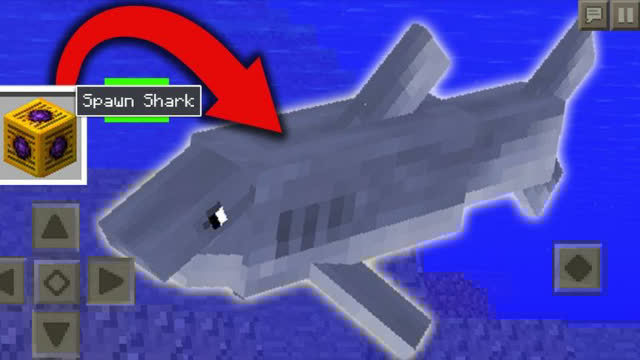 我的世界更多海洋生物,魔哒觉得比原版做的都要好