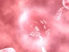 3D动画中一部分的《血管》