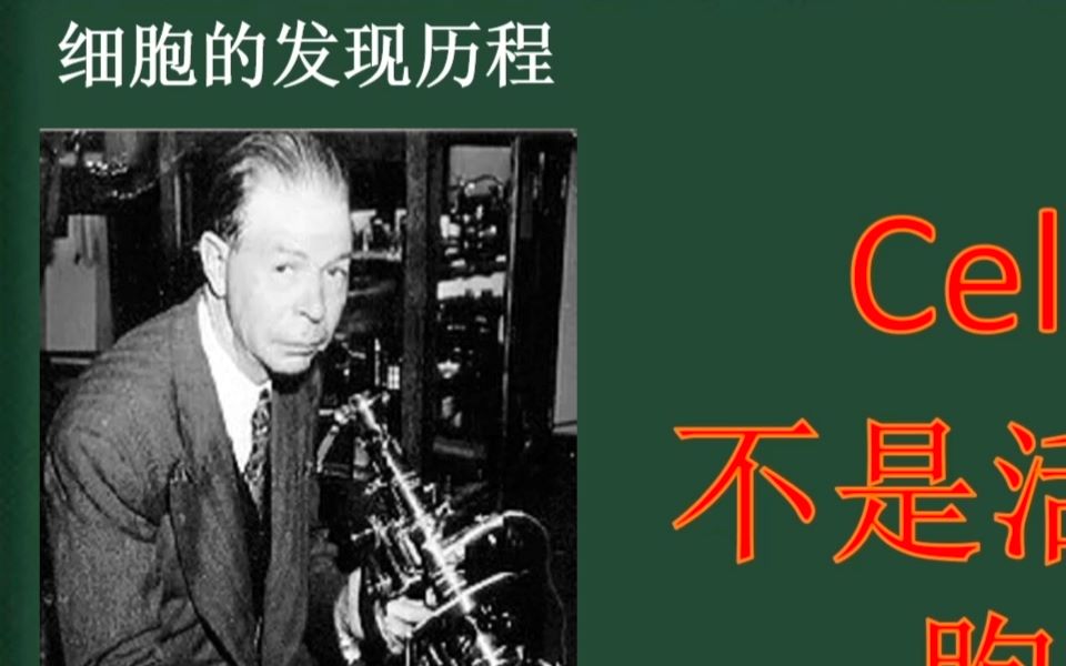 新人教版高中生物必修一第一章第一节---细胞是生命活动的基本单位