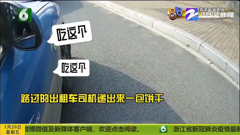 孕妇摔倒在斑马线 杭州交警上前扶起暖心照顾 路人也纷纷献出爱心