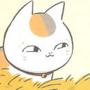 小猫咪撩动漫 