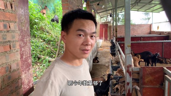做事要有长期计划,每年都要有目标。加油ߒ