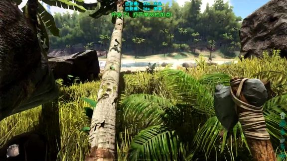 《方舟生存进化》暗墨解说方舟生存 第33期