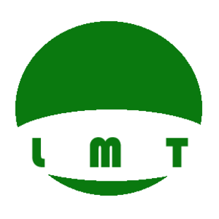 上海莱曼特科技 