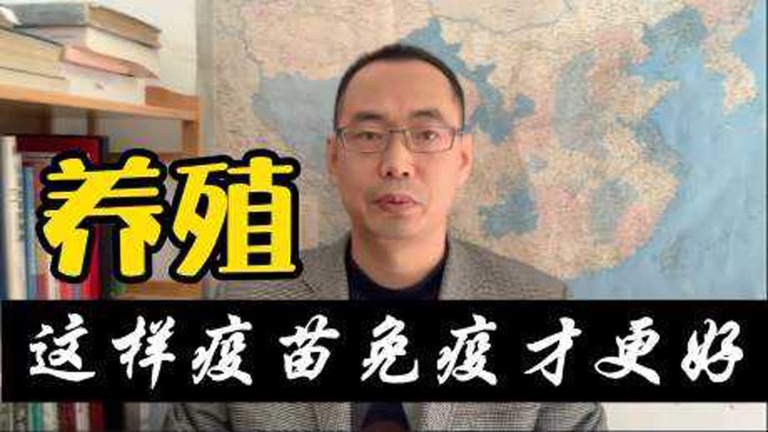 养殖需要这样做疫苗,抗体才会好,免疫效果才会好