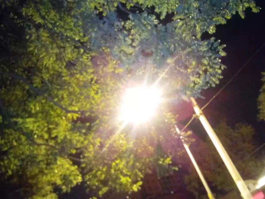 露露带你看影视 