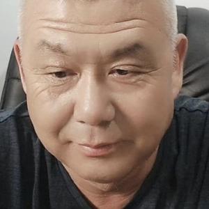 书禹 
