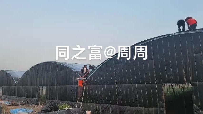 #温室大棚安装设计 山东枣庄连体大暖棚,施工接近尾声,棚子装