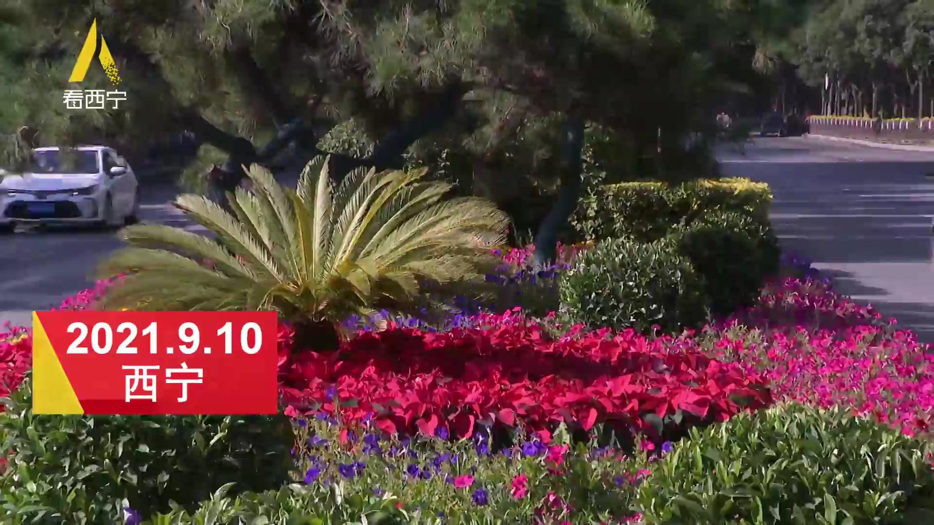 城东区实施9处绿色景观提升工程