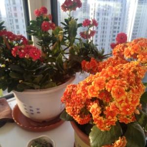 江水平装修小敏 