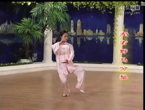 画太极图_太极八式邱惠芳