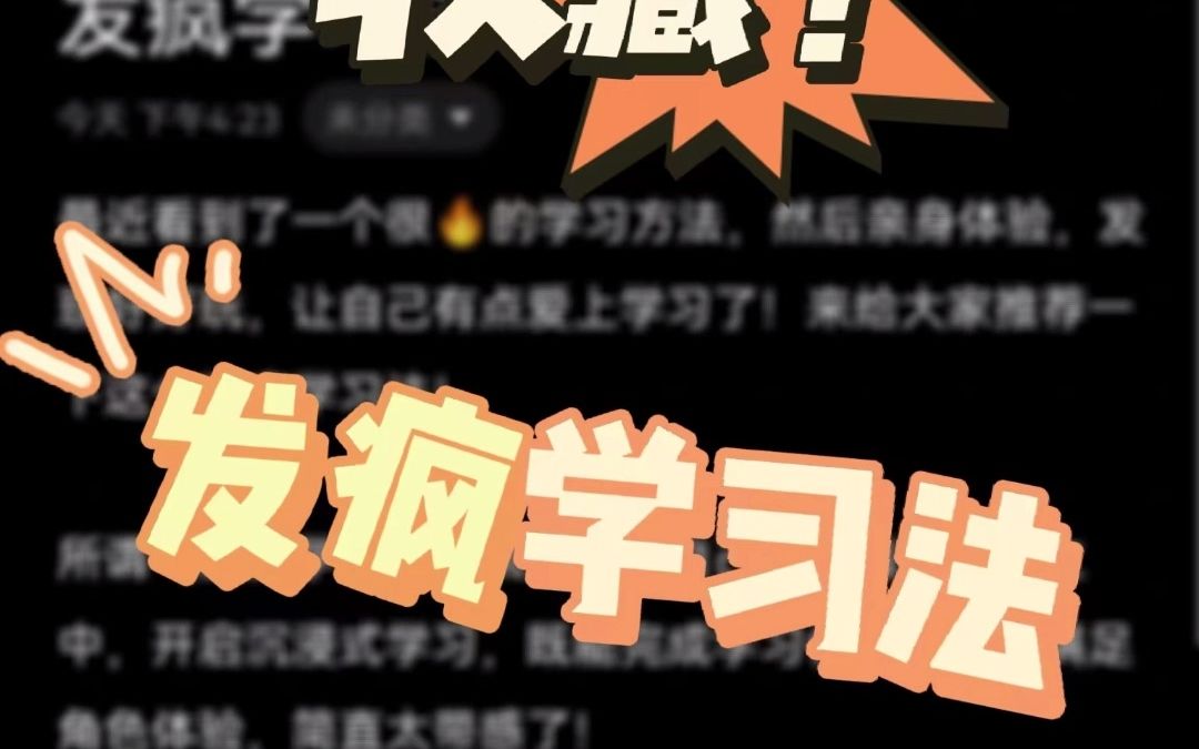 【发疯学习法】