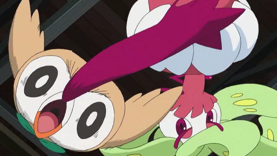 神奇宝贝:这只宝可梦进化后,小智的木木枭幸福指数直接上升