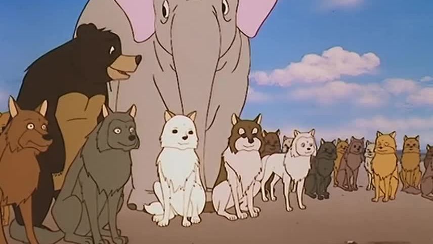 森林动物们开会研究谁来照顾狮大王留下的三个孩子4