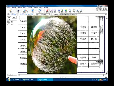 图片转换成文字表格 文化户口册制作