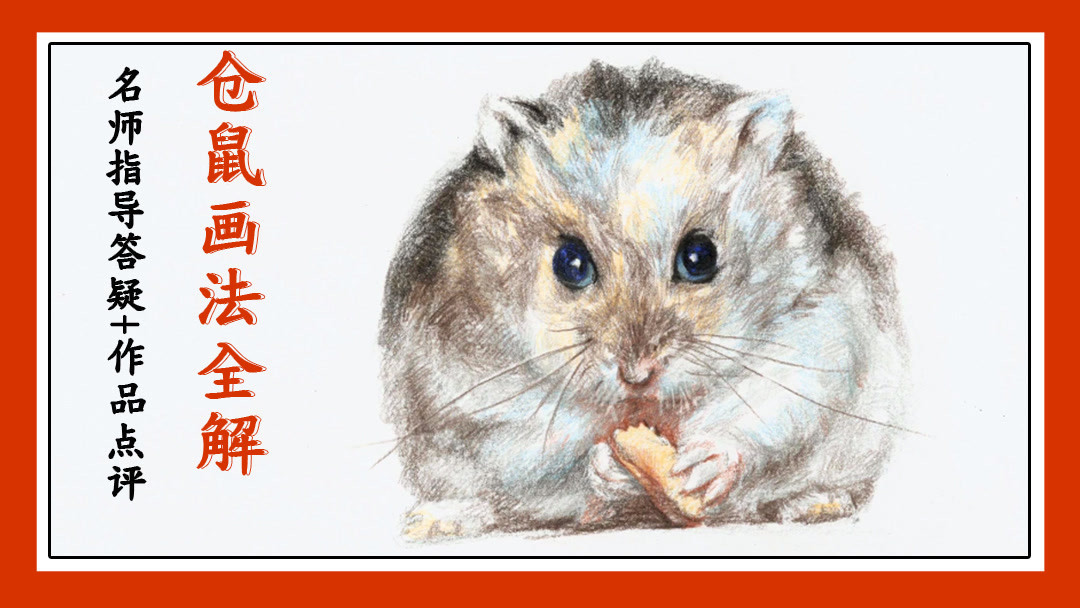 仓鼠画法全解
