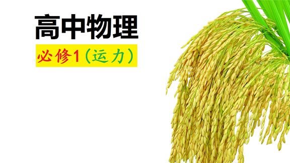 高中物理 必修1 第4章 力与运动 第49式 传送带模型5