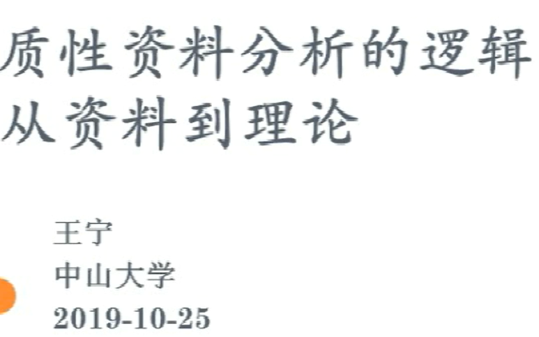 质性资料分析的逻辑:从资料到理论-王宁