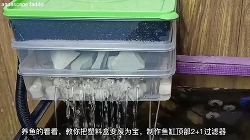 教你用塑料盒在鱼缸顶部制作2+1过滤器,快速清洁鱼缸,还有强大的过滤...