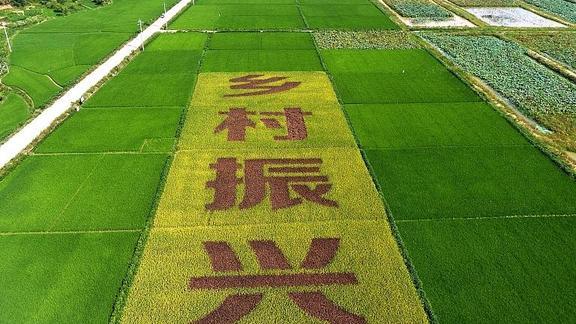 国家乡村振兴局负责人首次亮相国新办“三定方案”等工作稳步推进