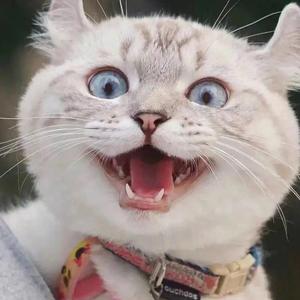 电视剧少男少女 