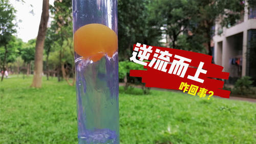 魔力科学小实验,装满水的管子倒过来,里面的乒乓球为何往上走?