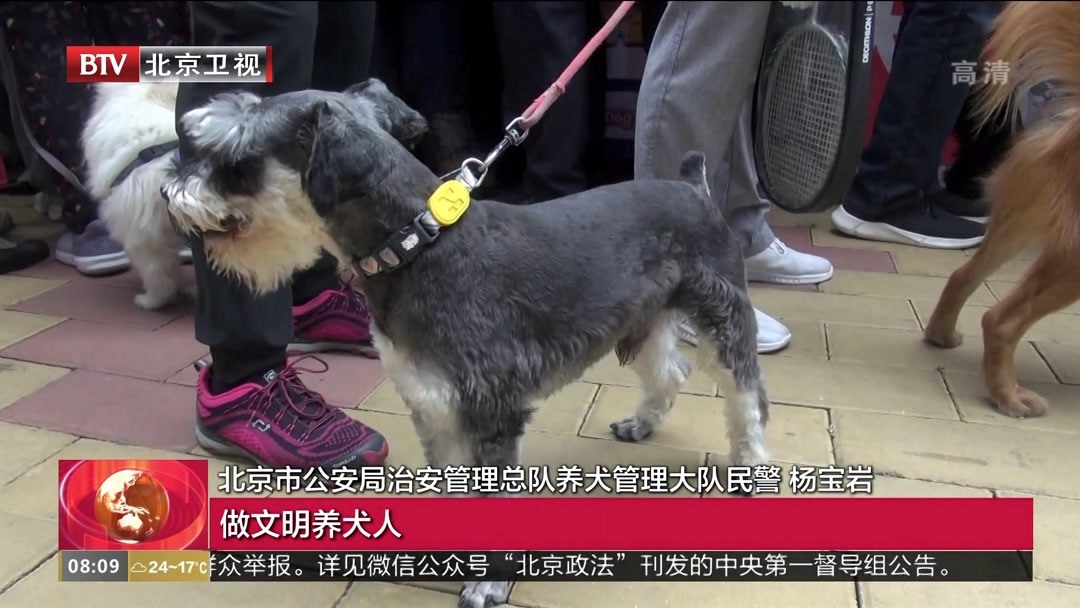 文明养犬宣传进社区 助力创建文明城市