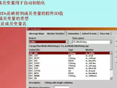 孙鑫visual c视频