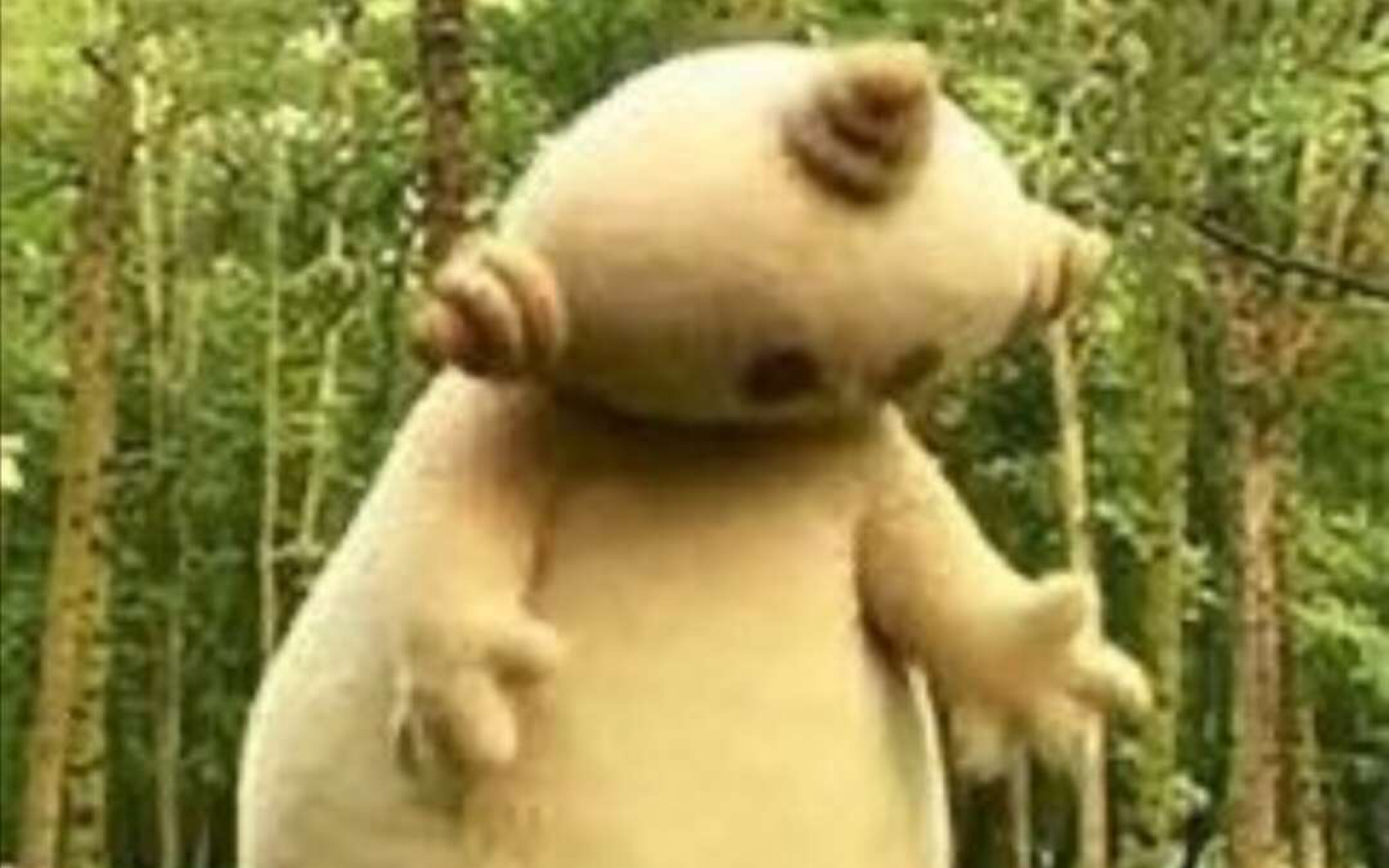 东北虎力不从心讲解计量经济学:自相关