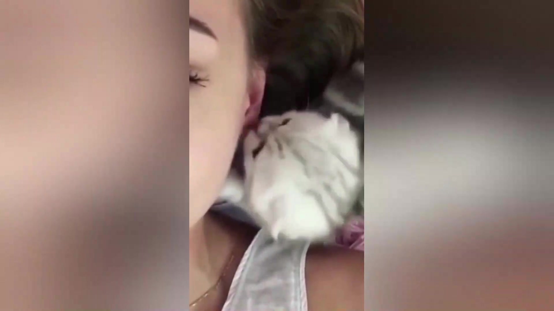 请问你有见过跟你耳语的猫吗!?!一定是别人家的猫。