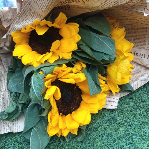 你想听个笑话吗 