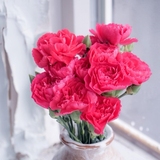 sunjietz1479249640536705 