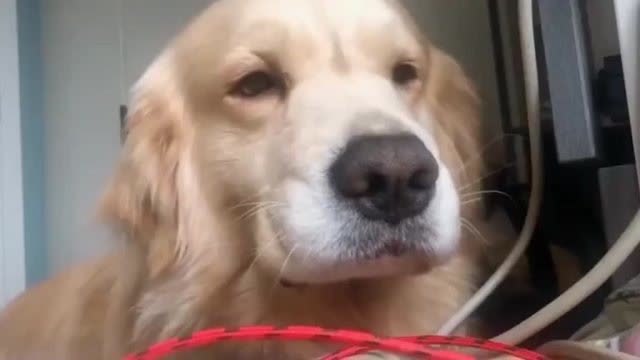 你不信任我能理解,毕竟之前也是我做错了,你就等着我的改变吧