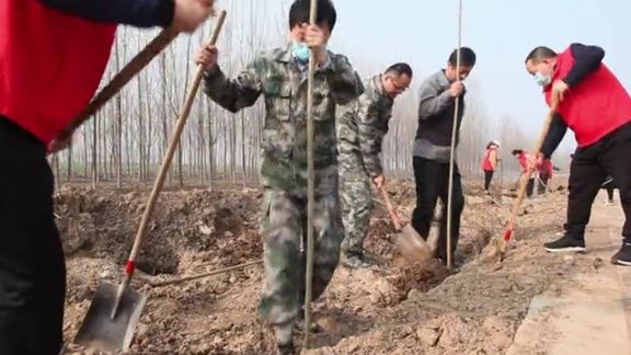 春风十里,种下绿意!焦桥镇组织开展植树节活动